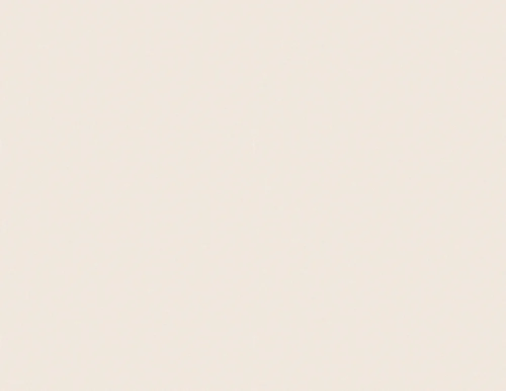 Menu — Nice & Easy