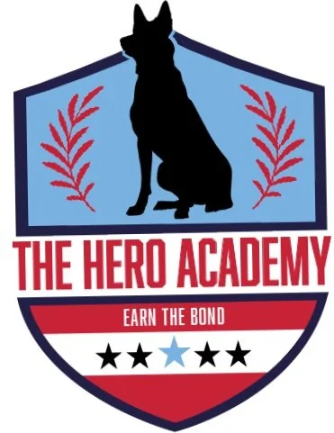 Hero Academy Logo