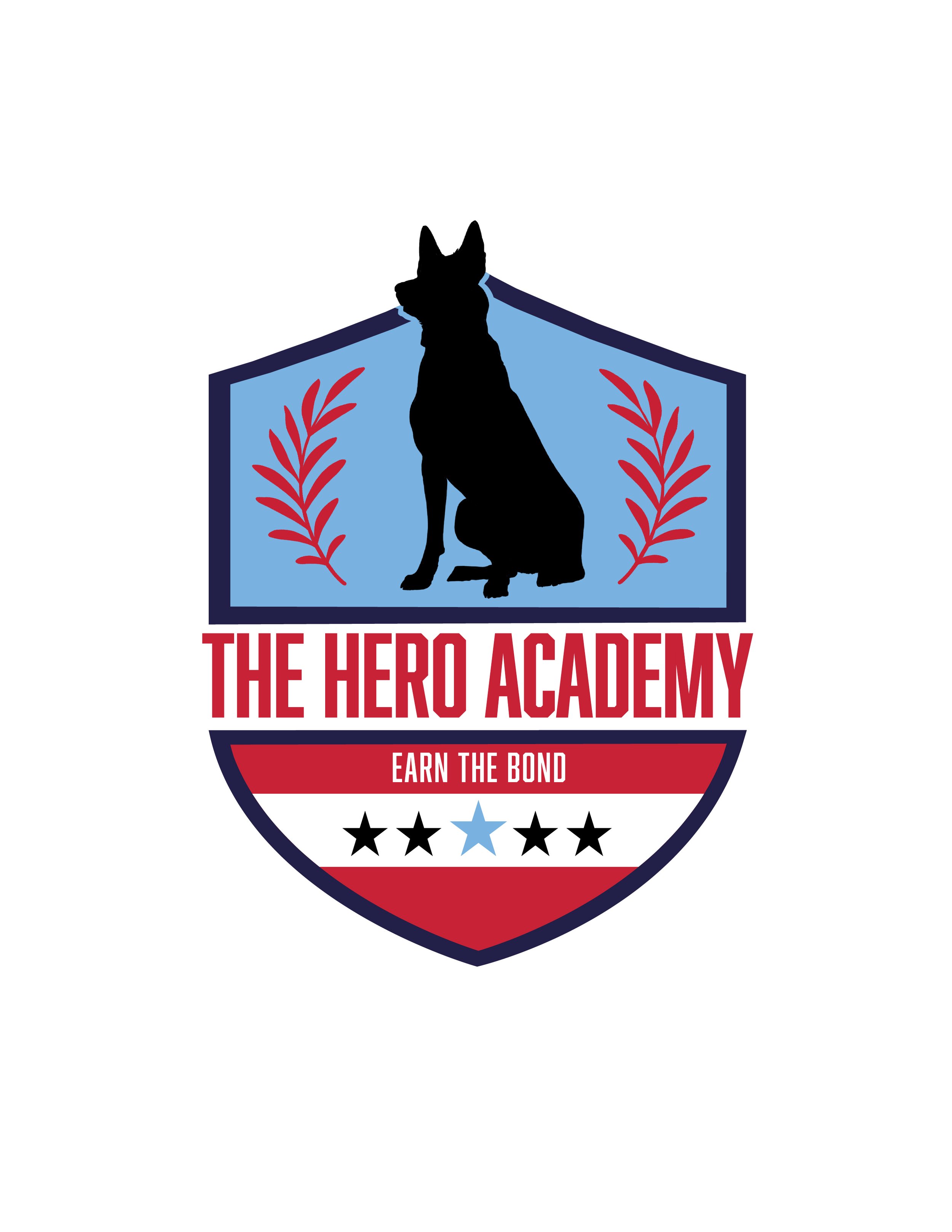 Hero Academy Logo