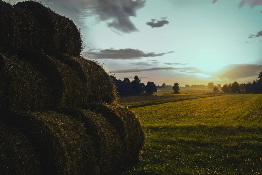 About — Land Broker Co-op