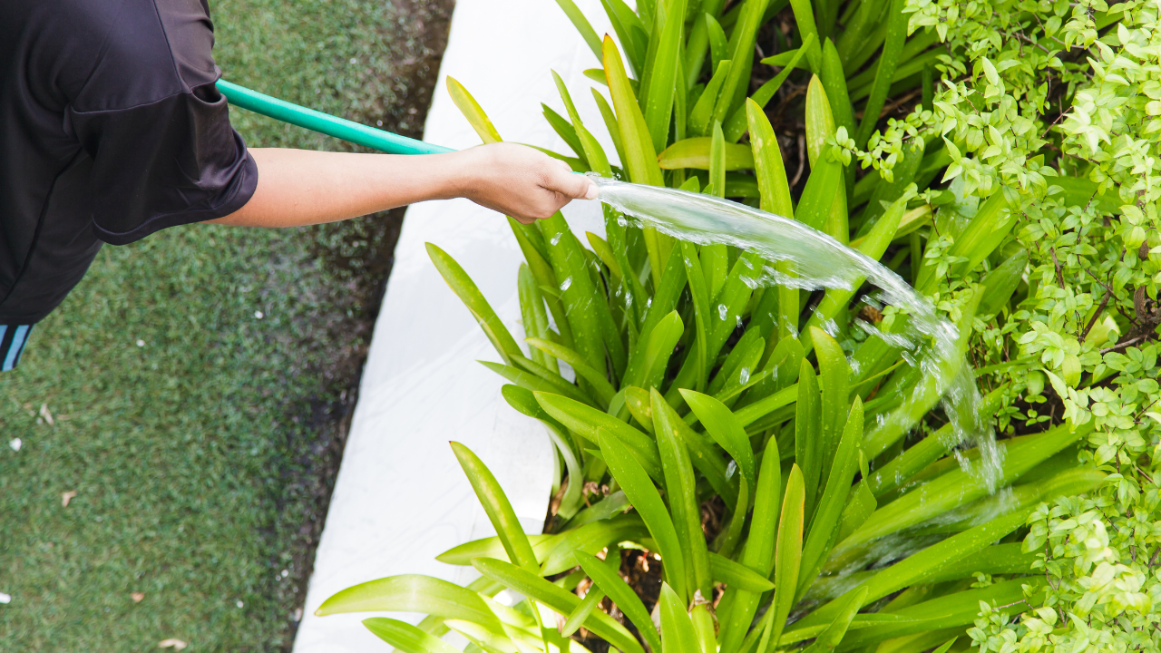 The Environmental Benefits of Landscaping: Beautifying Your Yard and ...