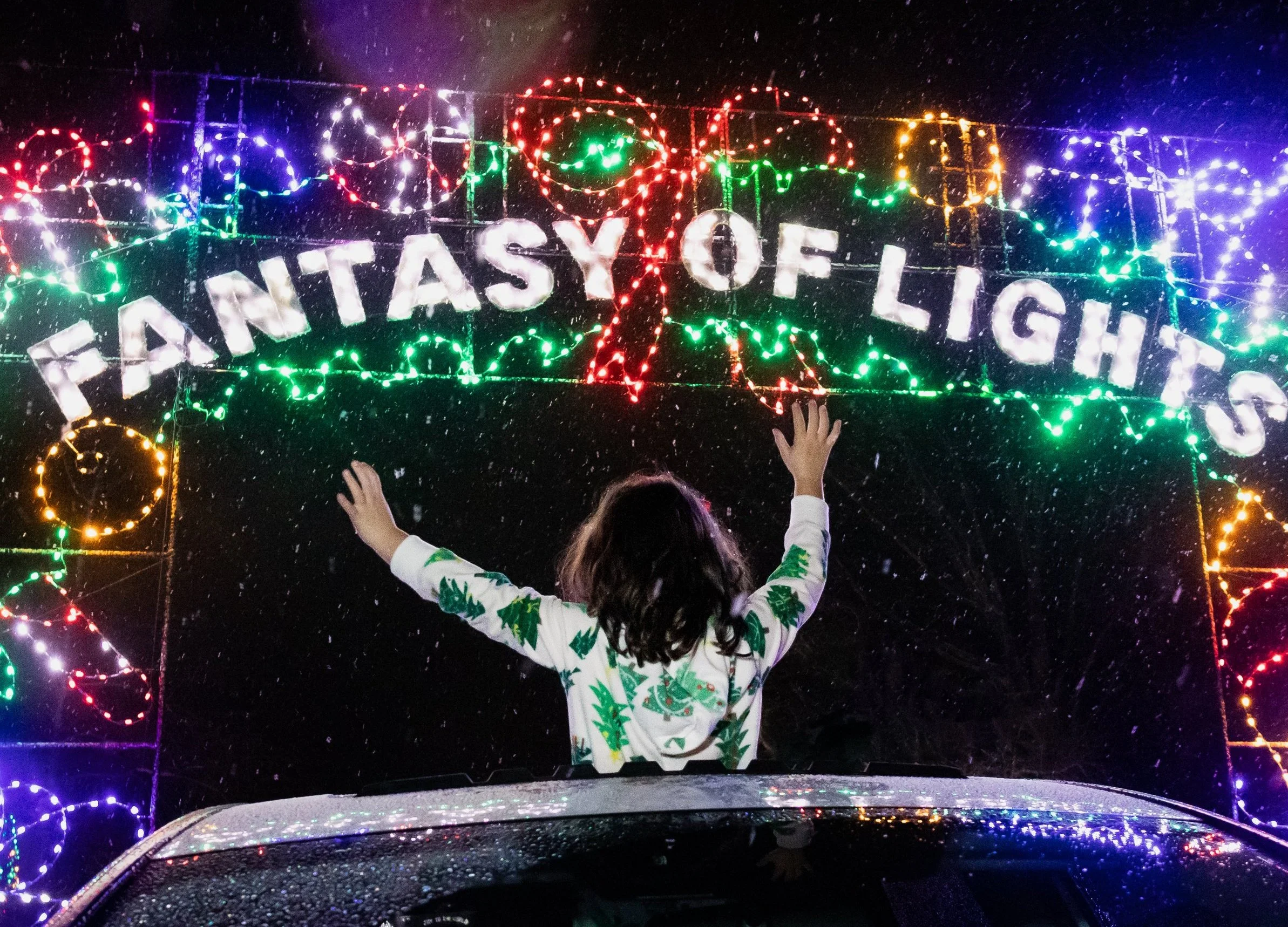 PHOTO GALLERY — Butch Bando's Fantasy of Lights