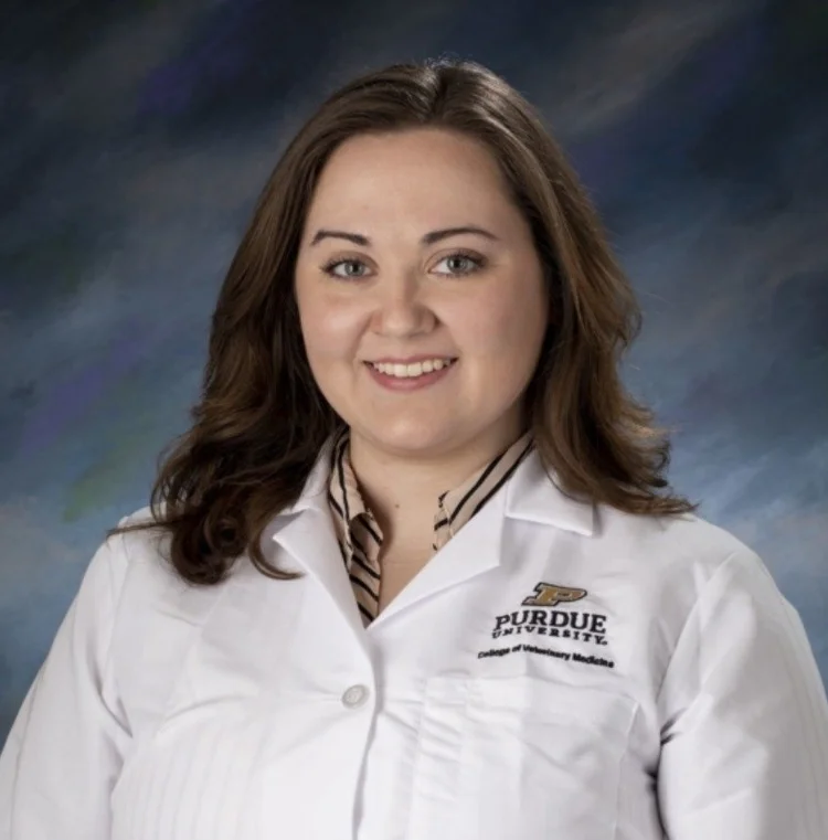 Auburn Hills Animal Hospital