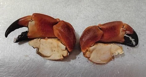 It’s a Snip! | MN Seafood Partners Ltd.