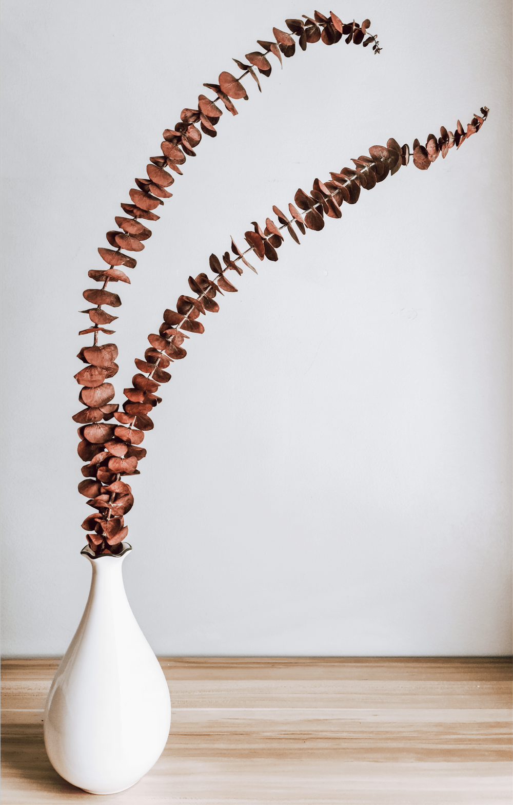 About Doma Design | Meet New Jersey Interior Designer Veronika Bamfield ...