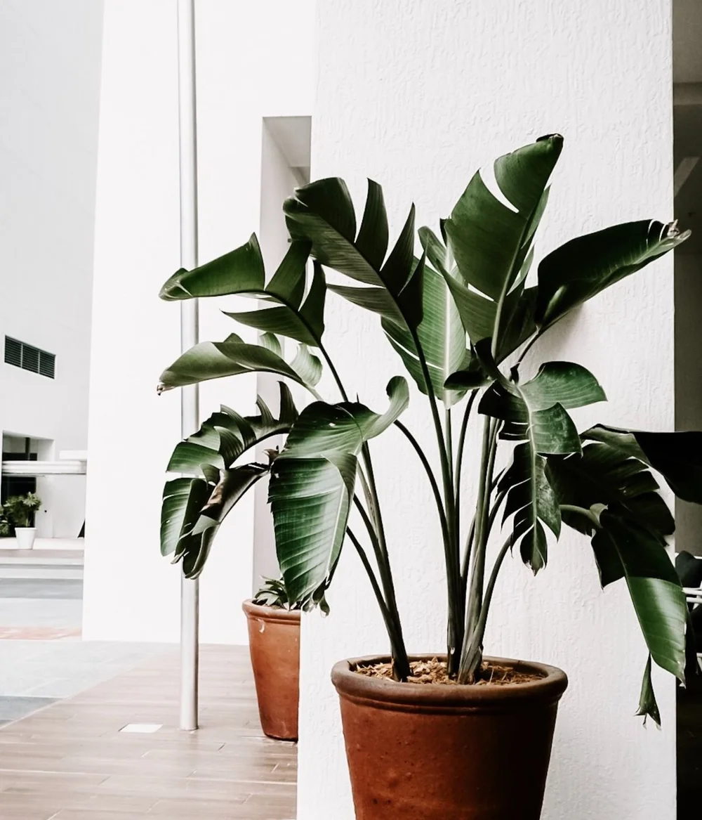 Solid Ground Wellness Chilliwack | In Person Therapy and Counselling