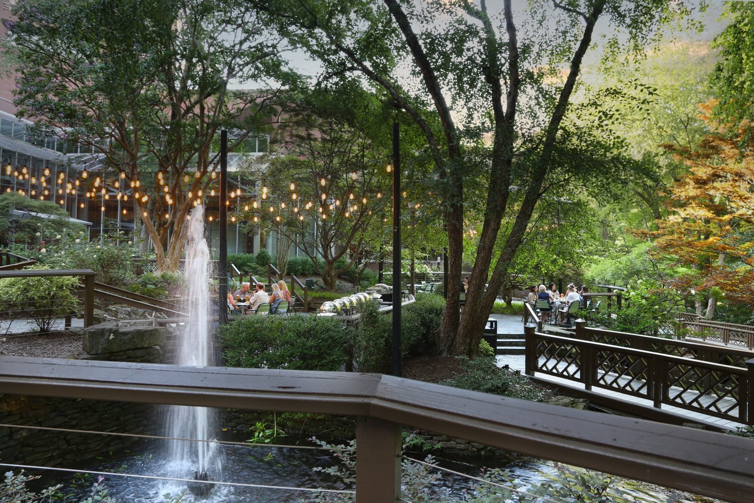 Backyard — Parkwoods