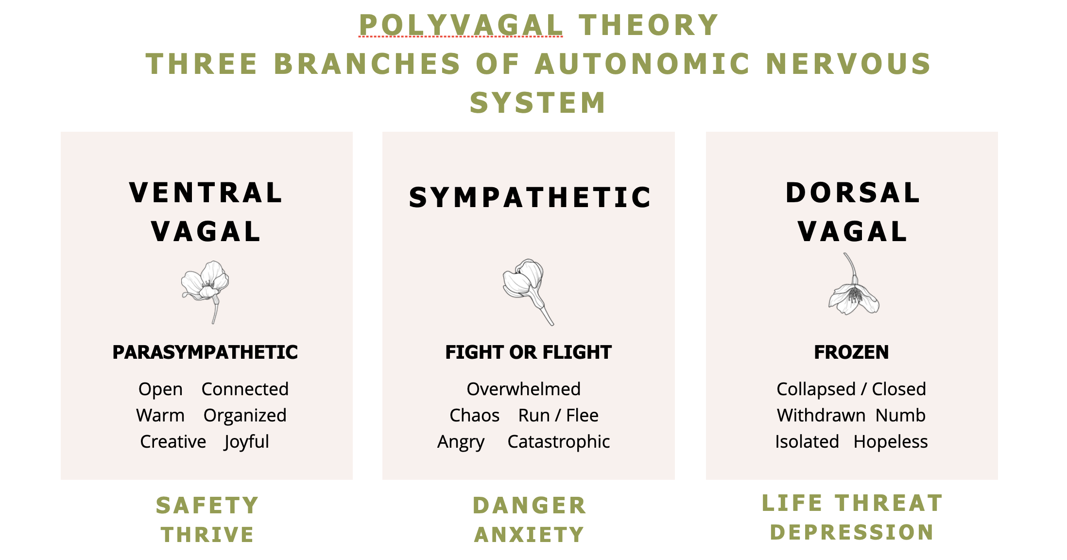 Learn how anxiety can be helped by bringing polyvagal theory into ...