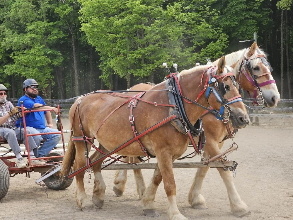 Our Team — Stockhands Horses for Healing