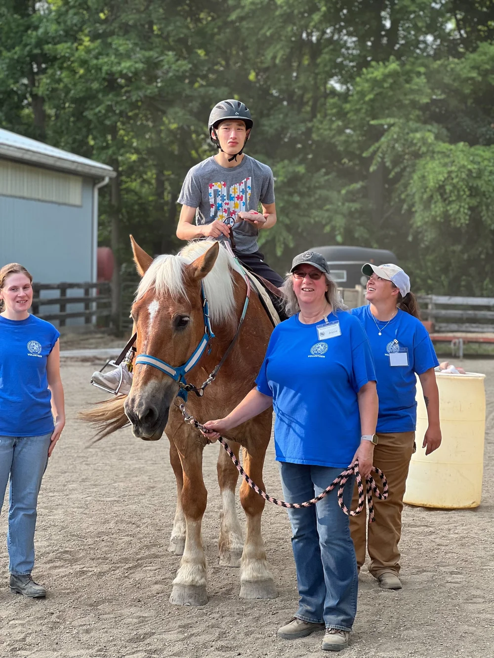 Riding Lessons — Stockhands Horses for Healing