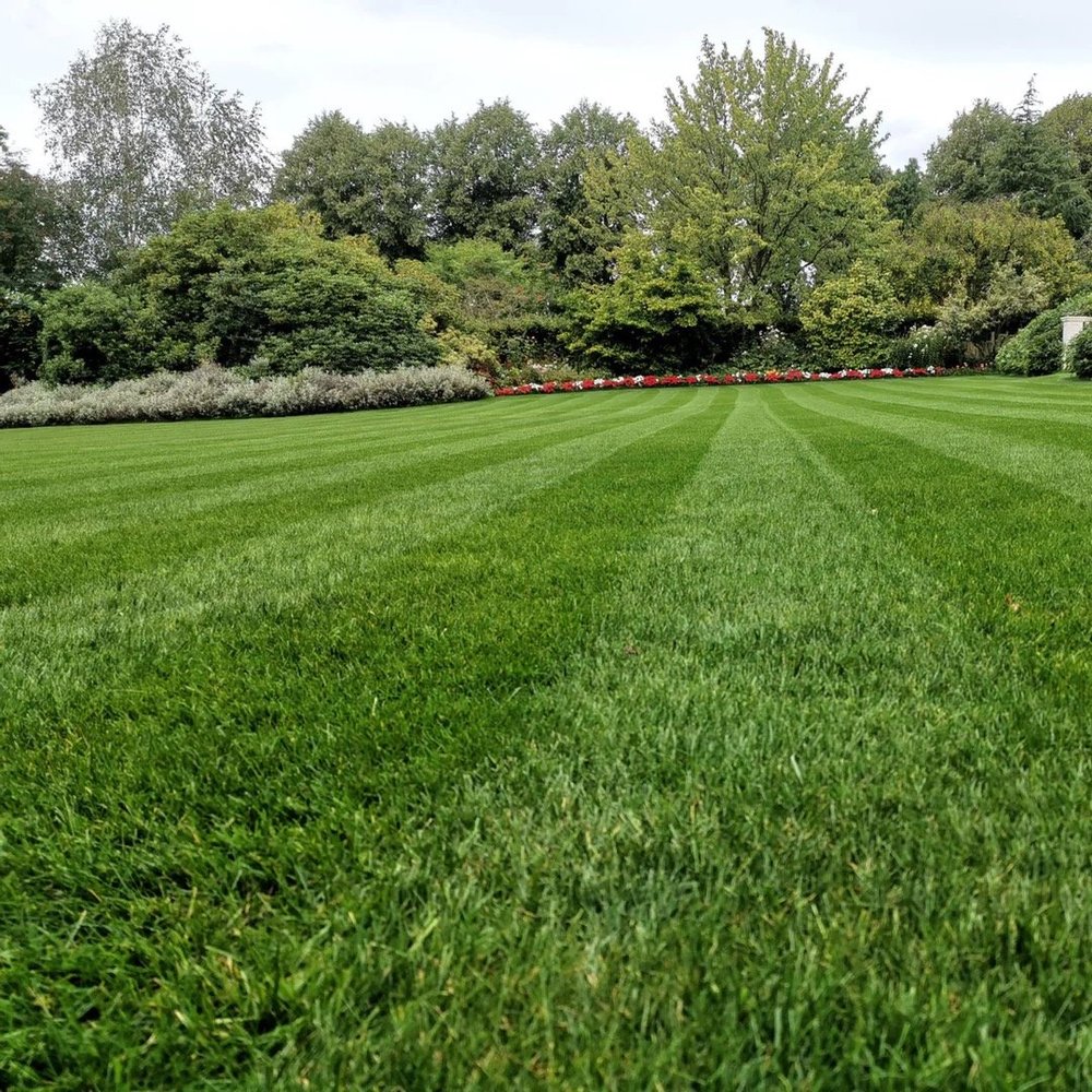 Premium Homeowner Turf — All Turf