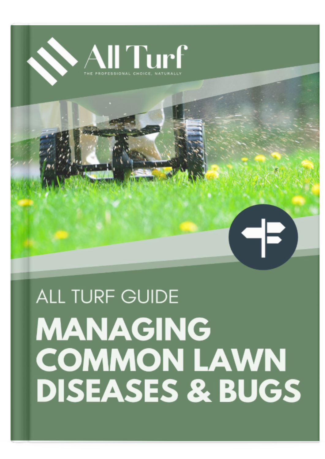 Managing Common Lawn Diseases & Bugs | Discover Effective Solutions ...