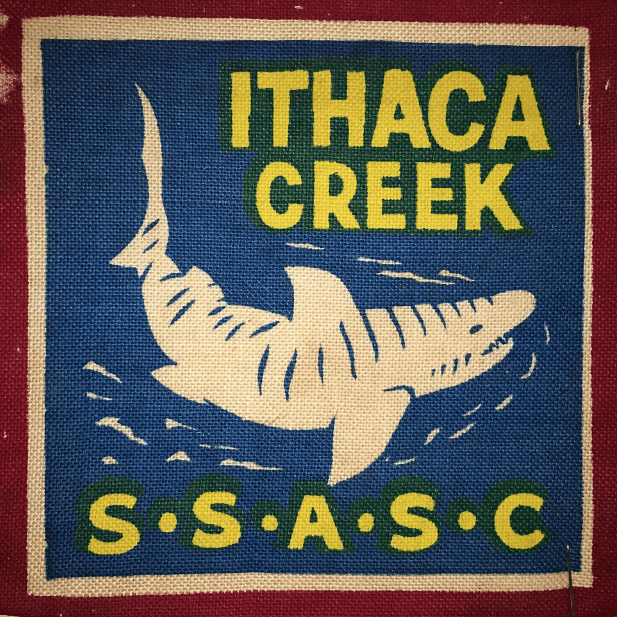 SHARX - Ithaca Creek Swimming Club