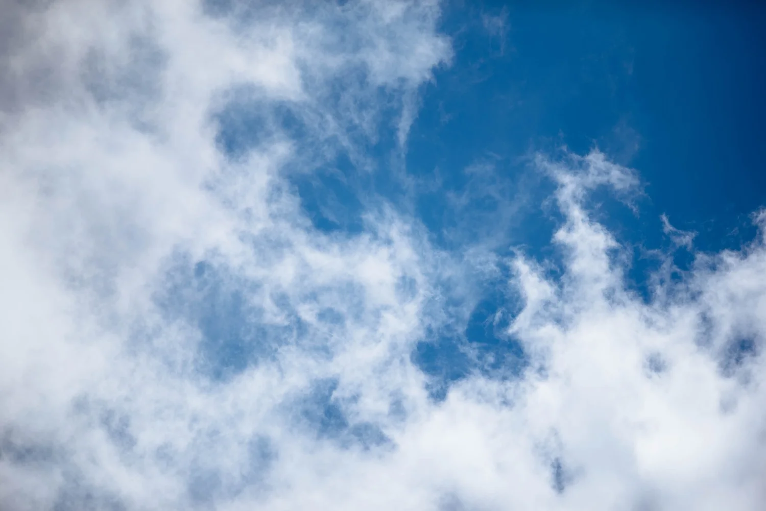 About TXG — TXG Website