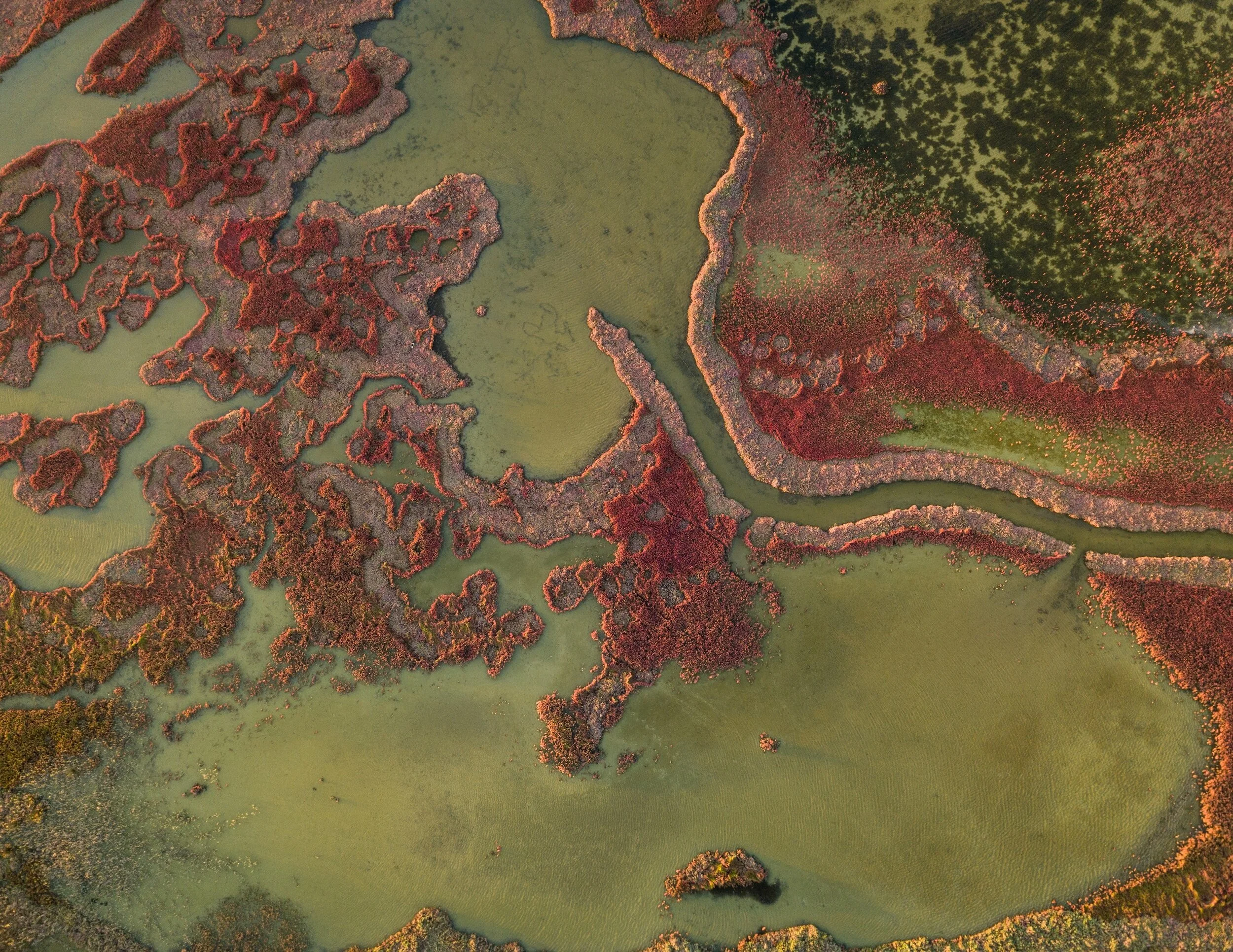 Trainings & Events — TXG Website