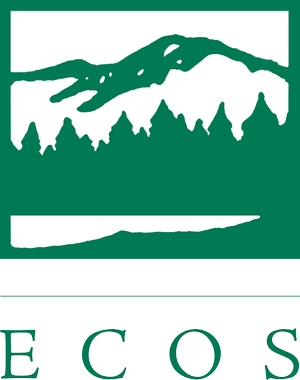 About Us — TXG Website