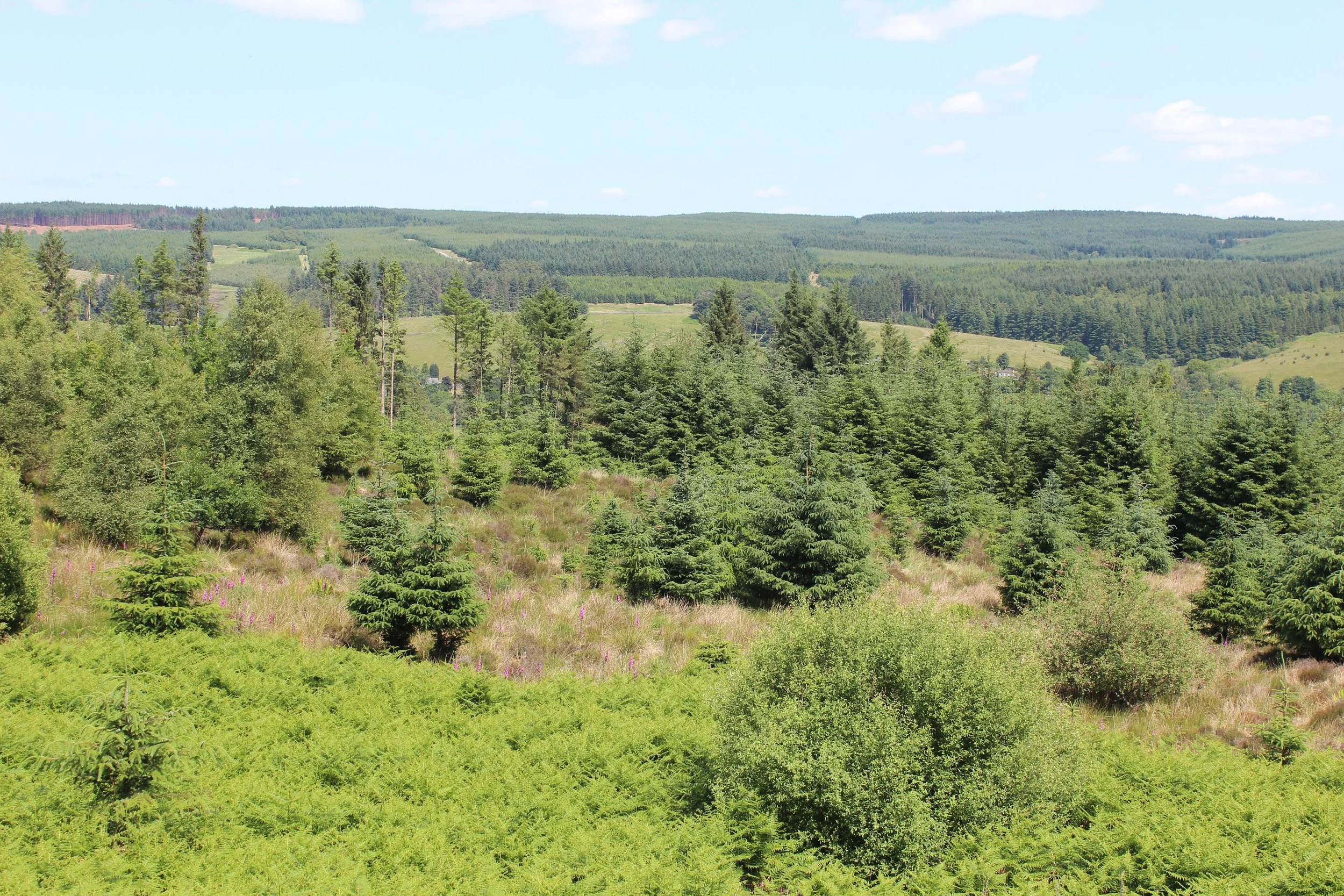 Coexistence Conservation Lab