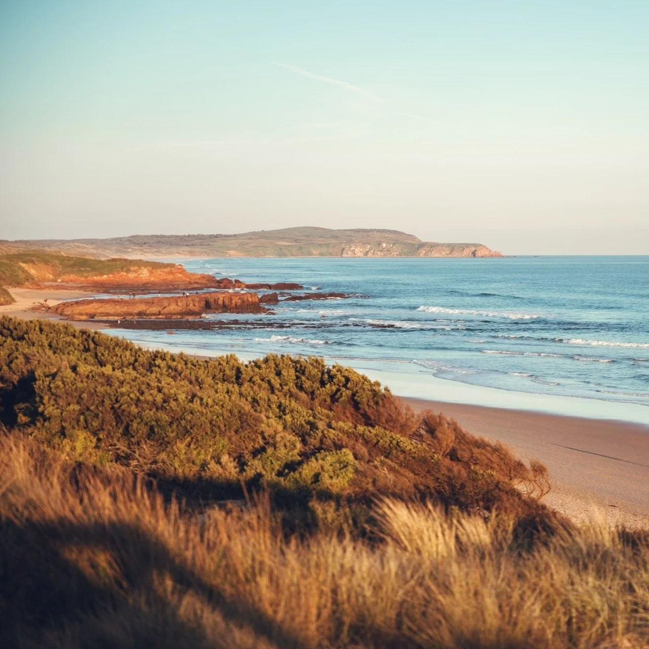 Opportunities — Coexistence Conservation Lab