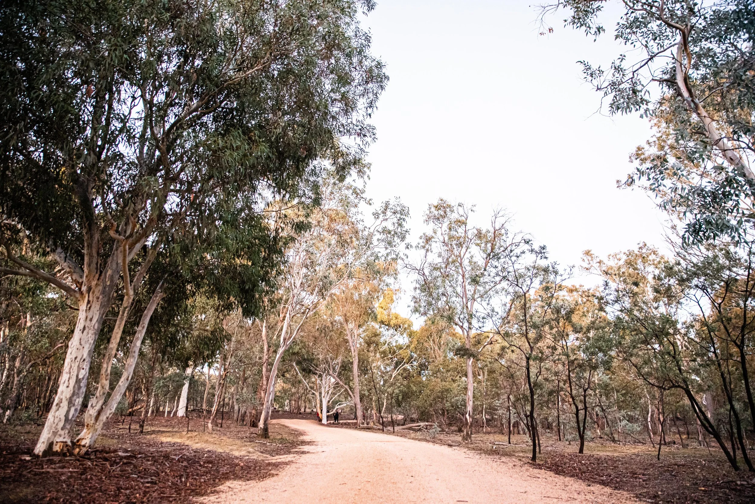 Coexistence Conservation Lab