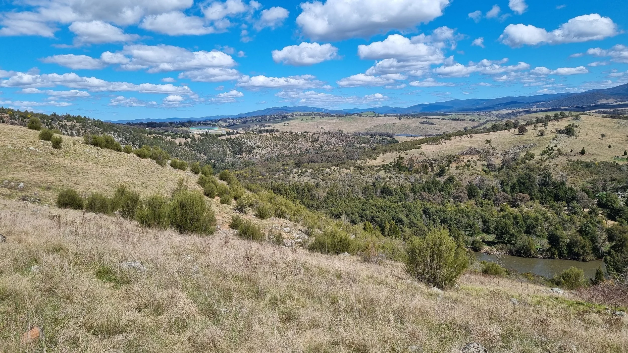 Coexistence Conservation Lab