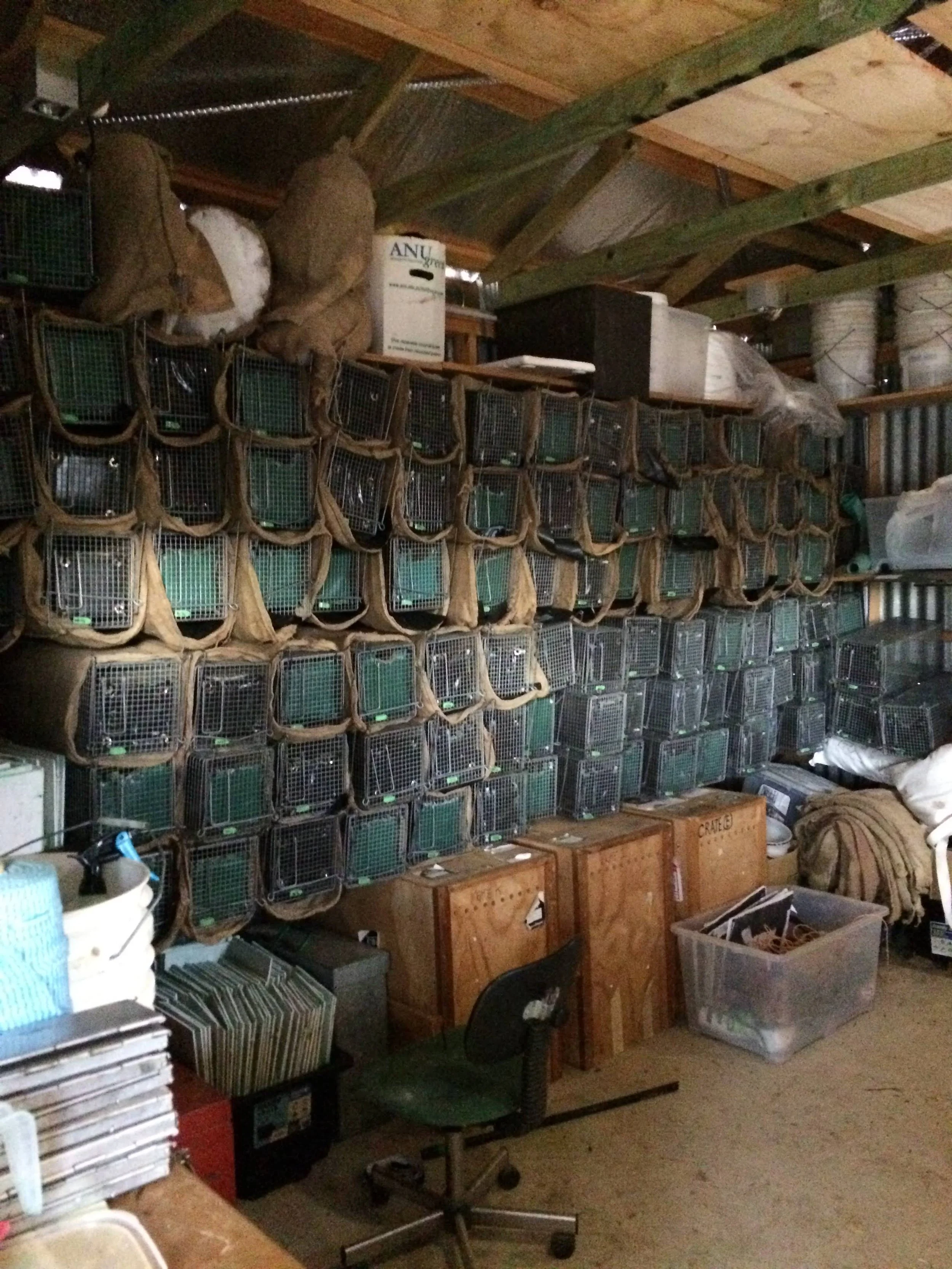 Translocation Science — Coexistence Conservation Lab