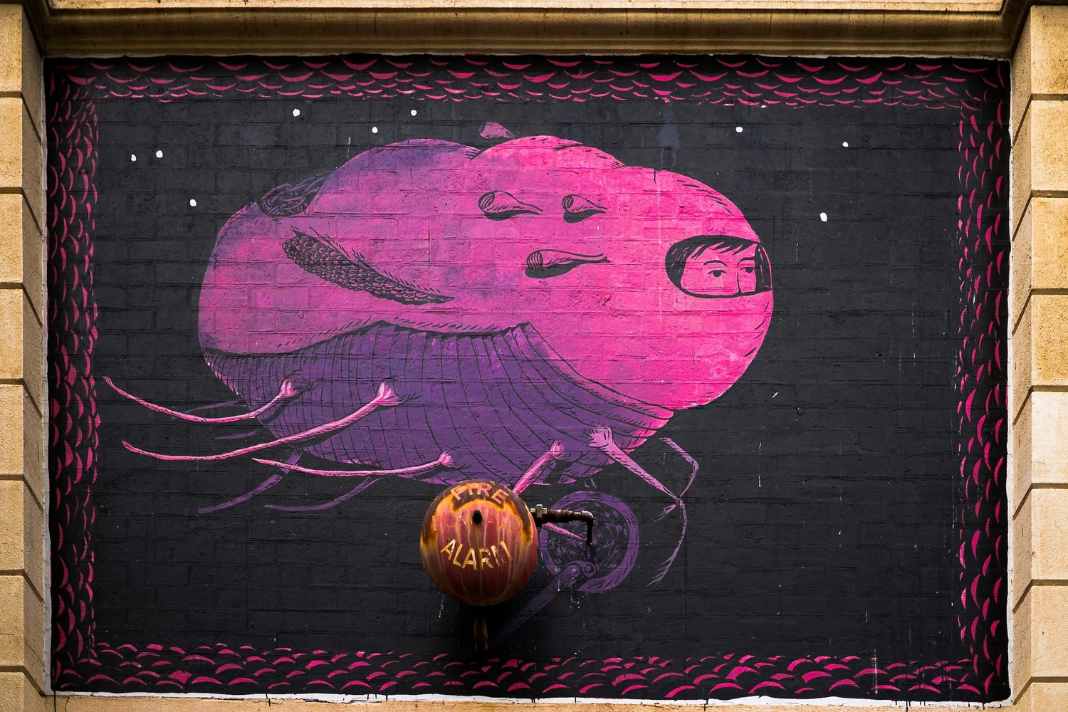 Meet Kelly — Kelly Parra, Author