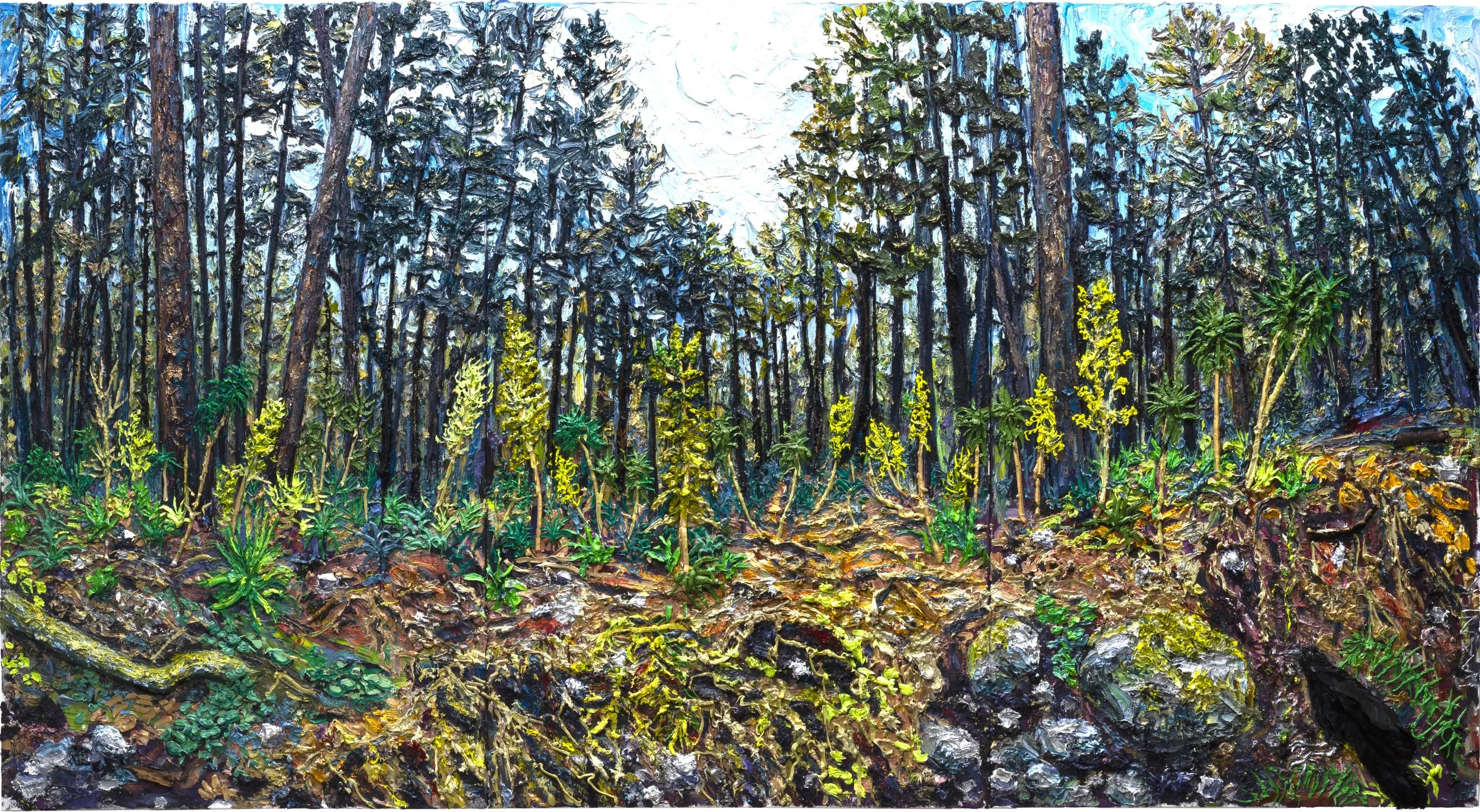 Work — Robin Raznick