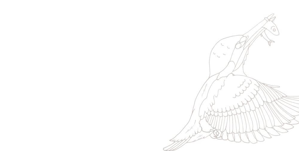 Muse - Riverside House Commercial Project — SpaceInvader