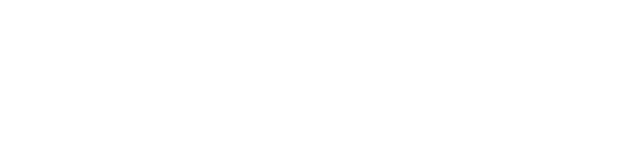 Scandinavian Prison Project