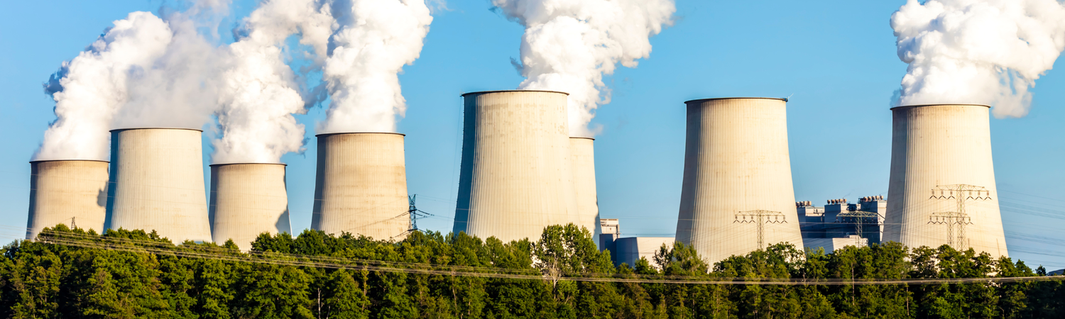 Coral Valves | Power Generation Valves — Coral Valves