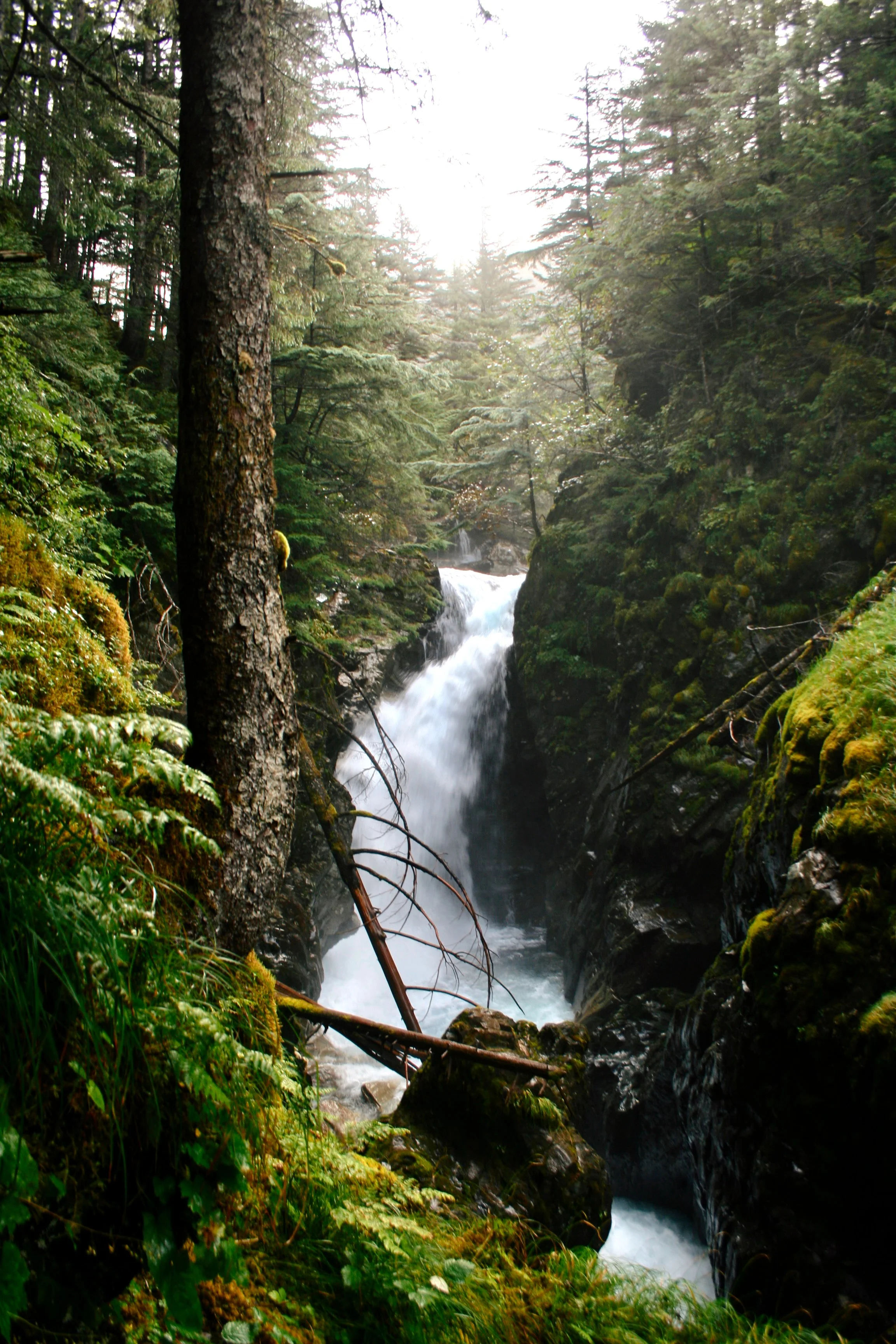 Exploring Juneau, Alaska: 6 Activities for Your Perfect Itinerary