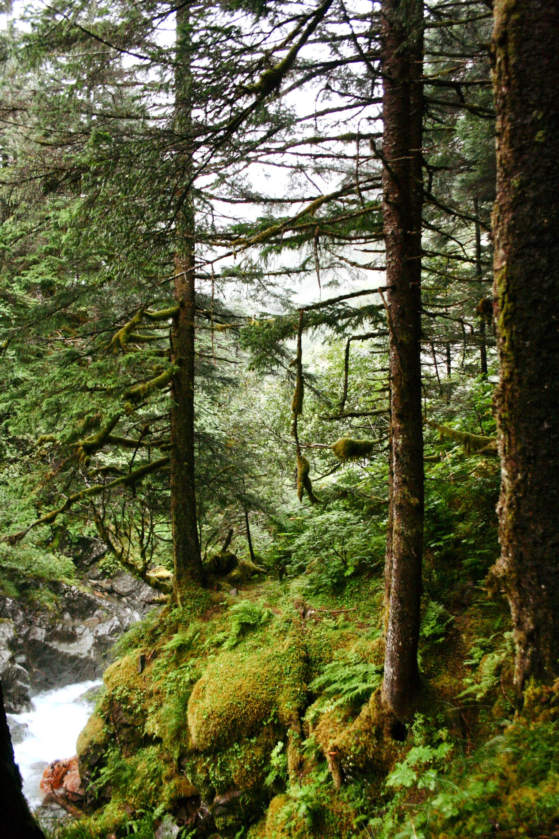 Exploring Juneau, Alaska: 6 Activities for Your Perfect Itinerary