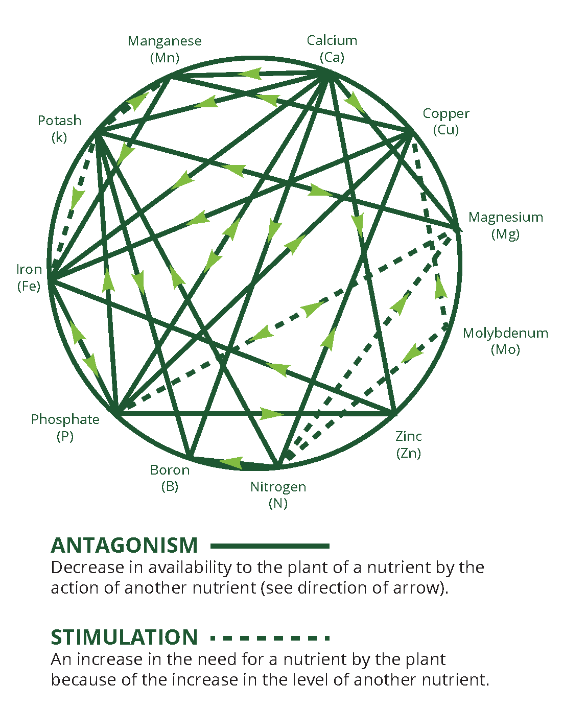 Mulders Chart | CultivAce Growth