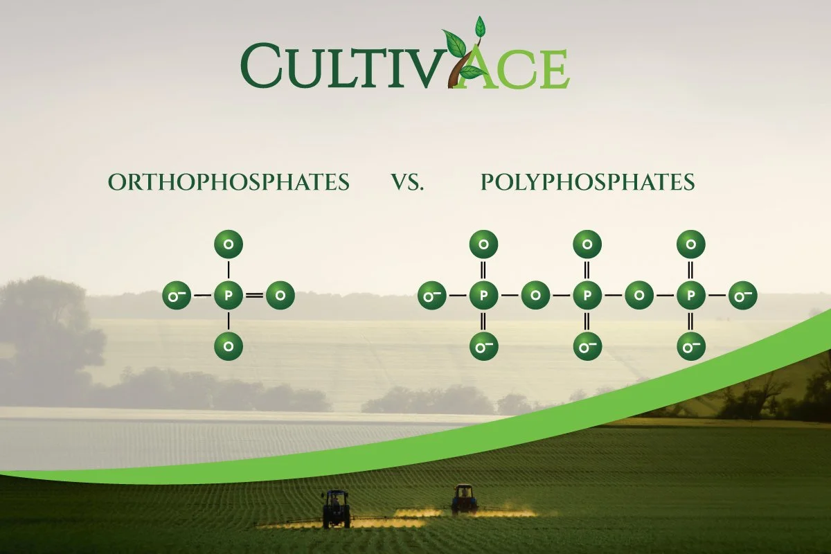 Comparing Orthophosphates vs. Polyphosphate Fertilizers — CultivAce