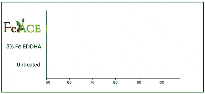 Acetate Fertilizer | CultivAce Products