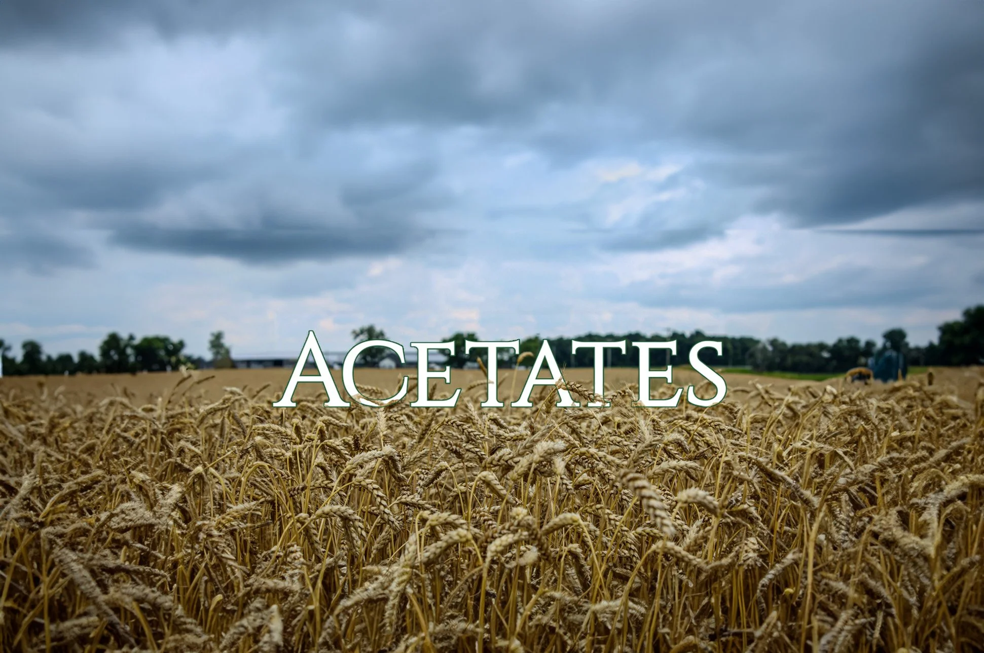 Acetate Fertilizer | CultivAce Products