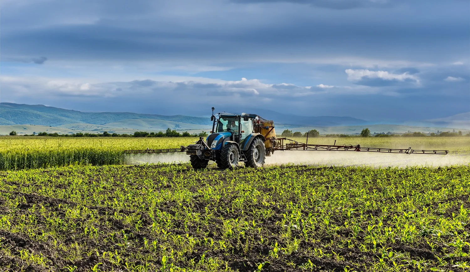 5 Calcium Boron Foliar Fertilizer Cultivace Products