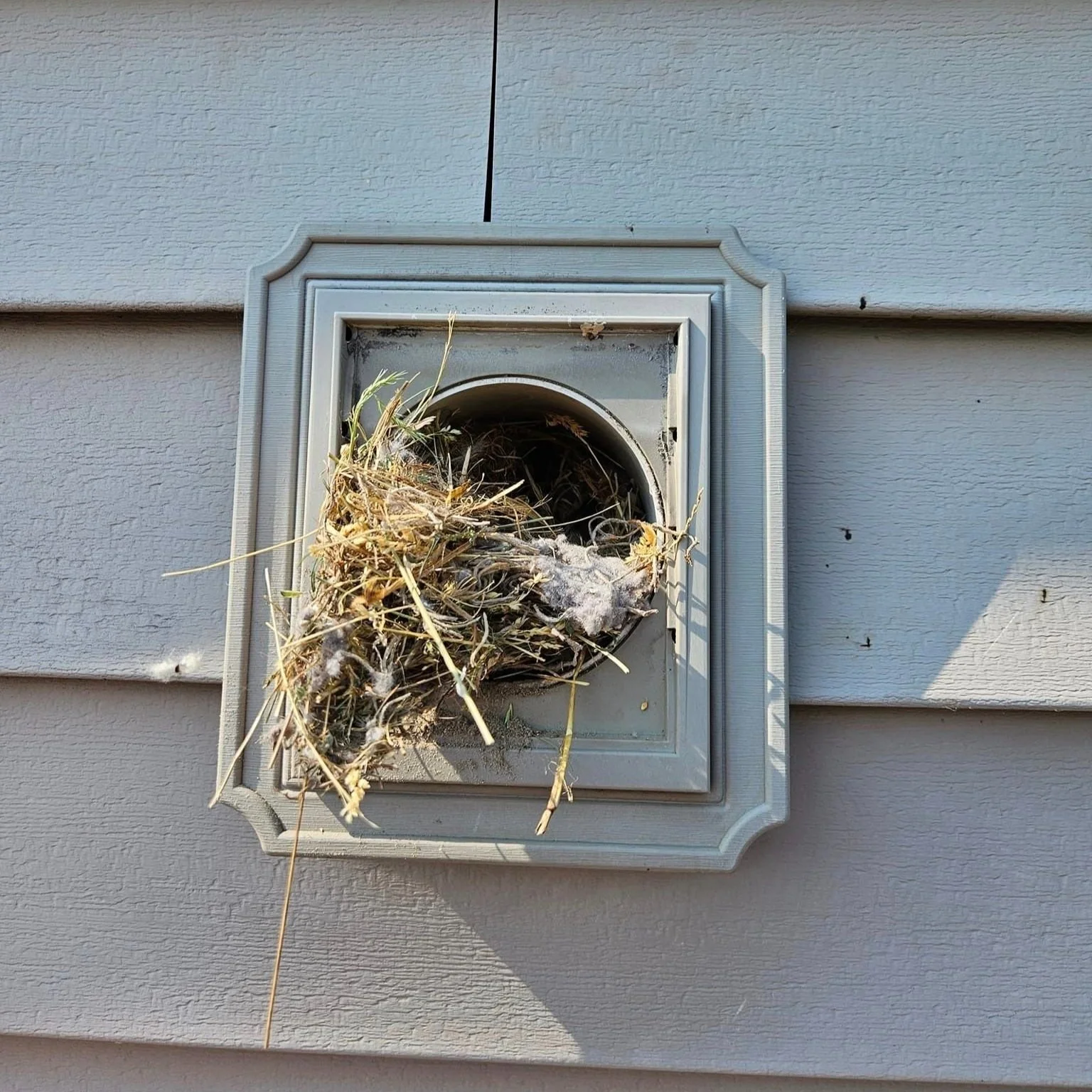 Dryer Vent Solutions WI