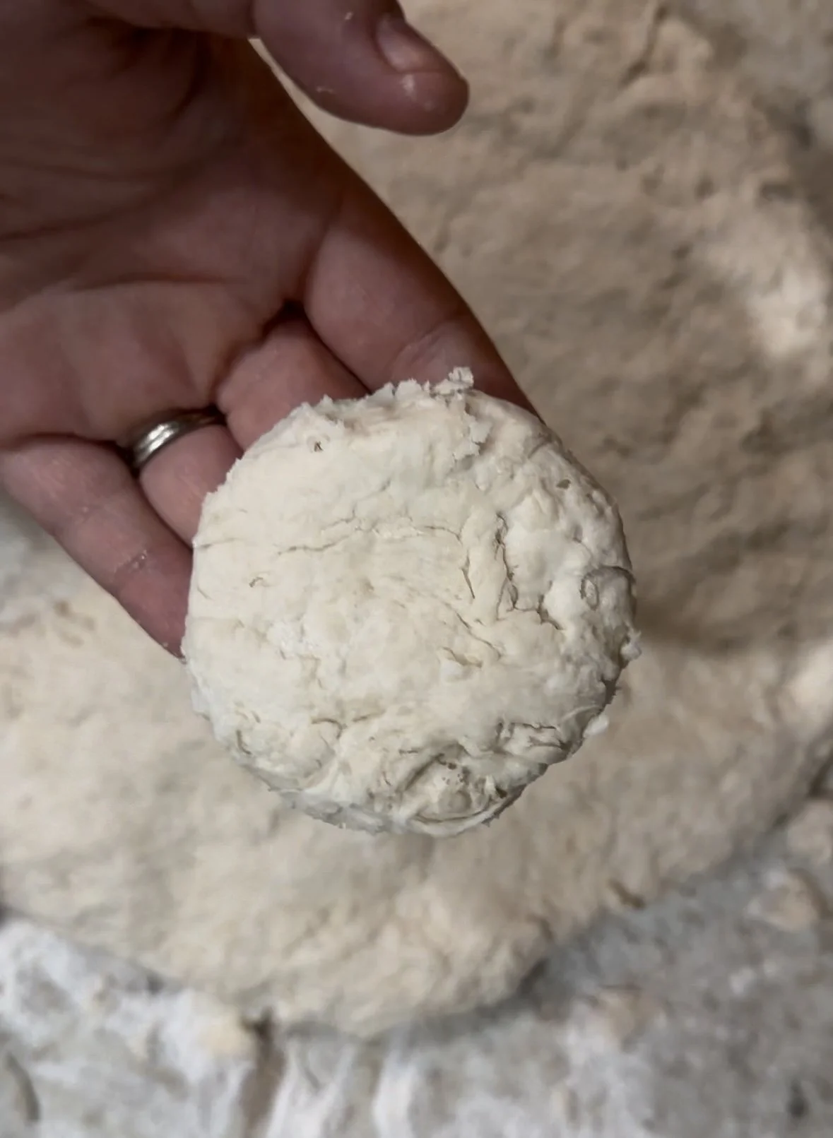 How to Make Buttermilk Biscuits — Gracing the Table