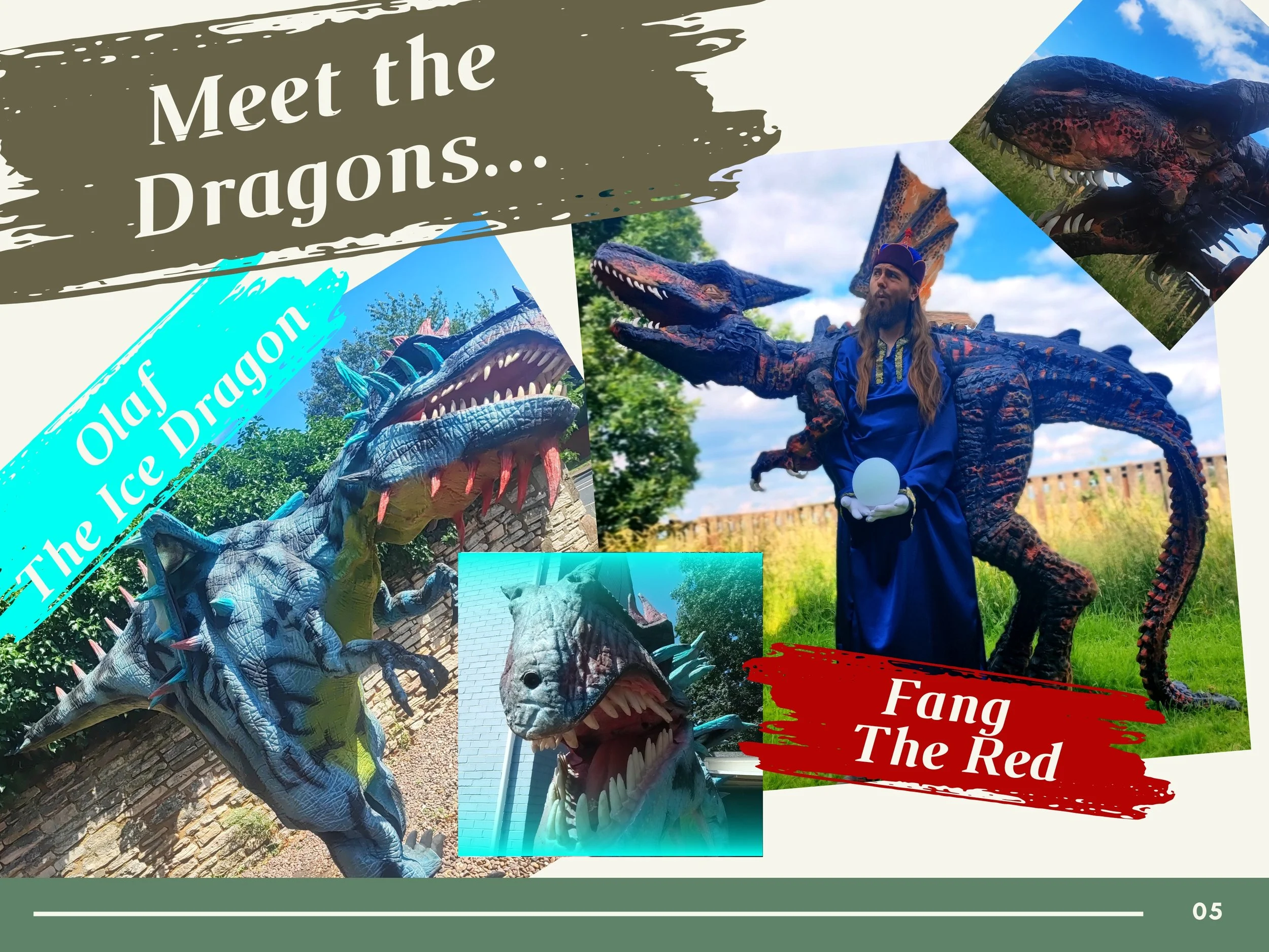 Dragon Trainers — Dinosaur Hire & Dragon Hire- Dinosaurs and Dragons LTD