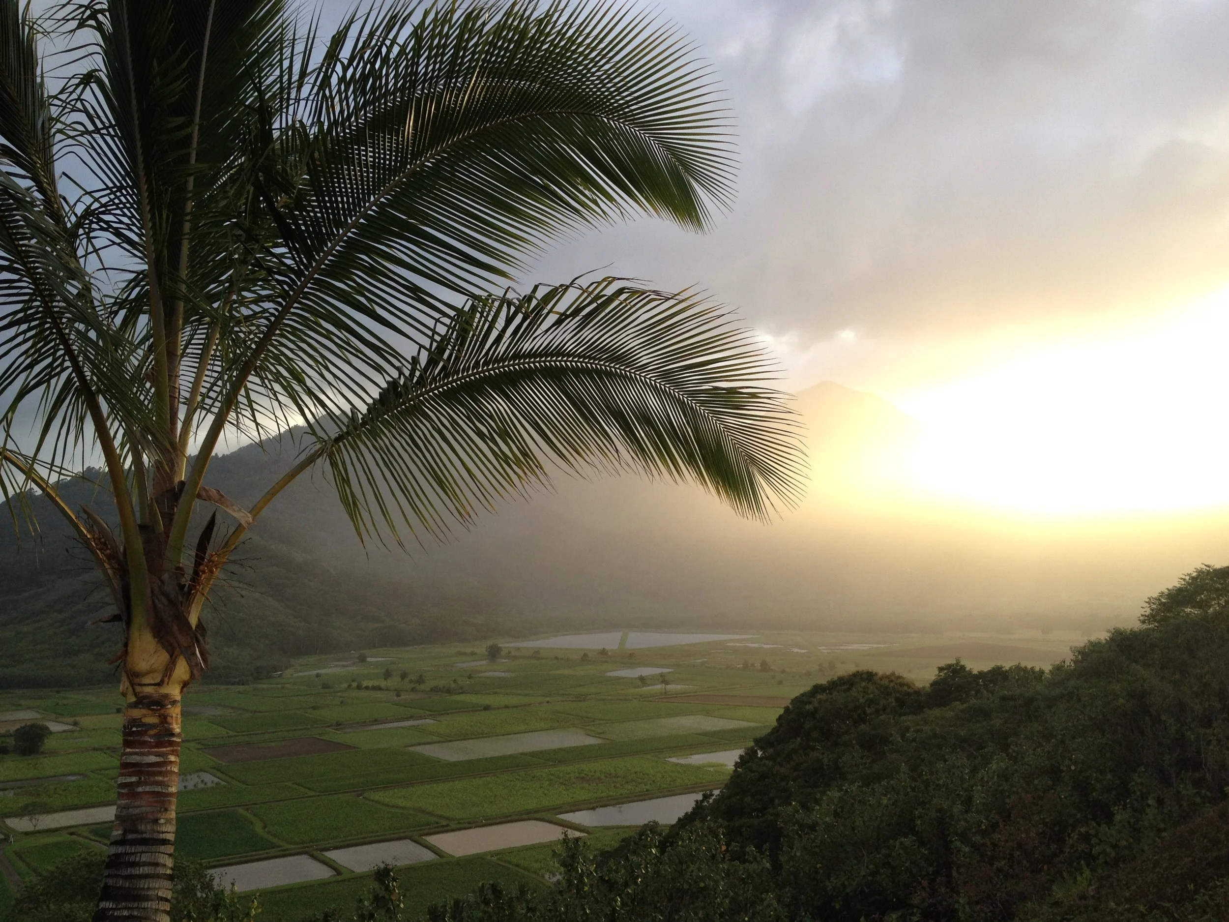 Mission & Vision — Salt Water Alchemy