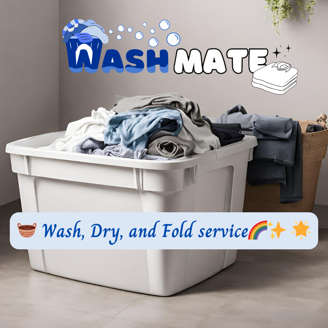 WashMate Blog: Before & After Transformations, Tips, and Updates ...