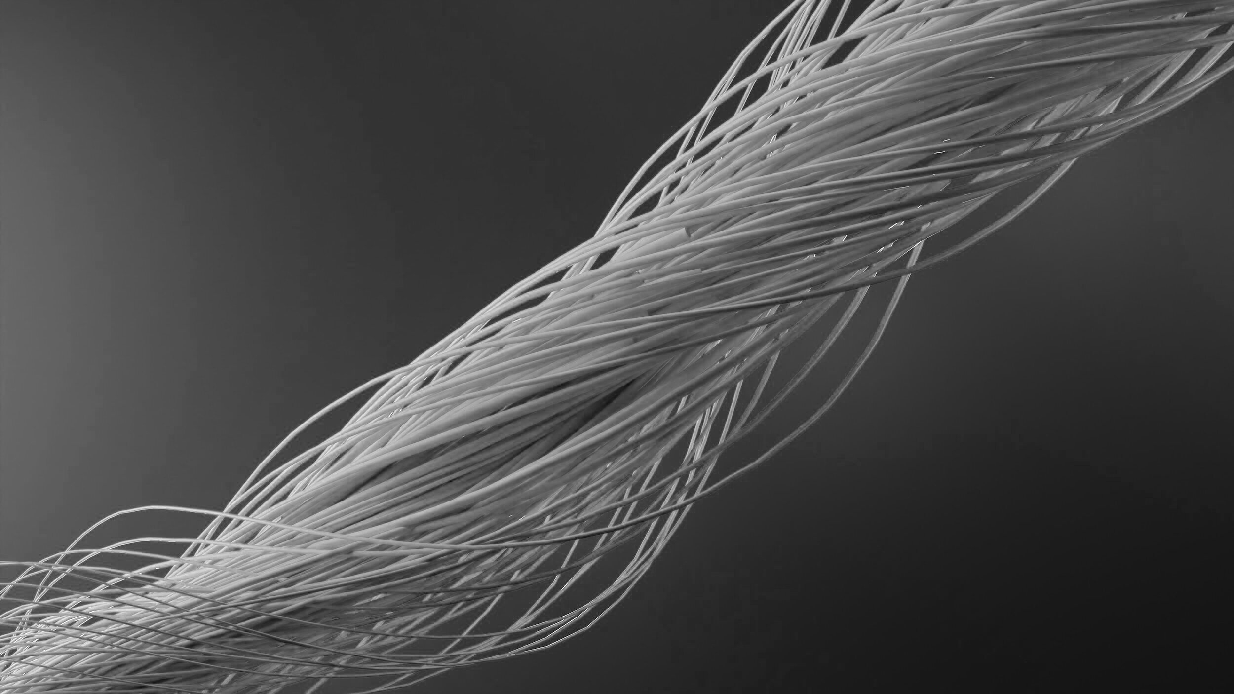 Blog 3 — The Biomimetic Wearable Robotics Lab