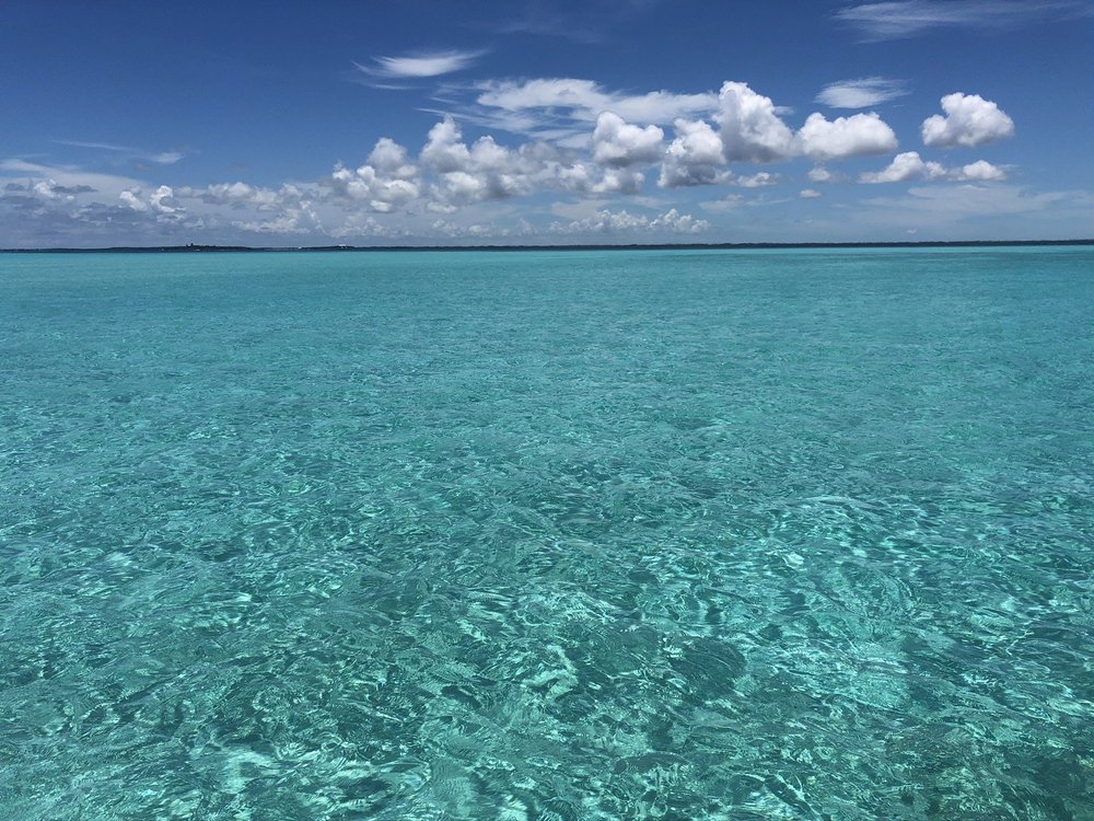 Appointments 2 — Low Cay Cart Rentals