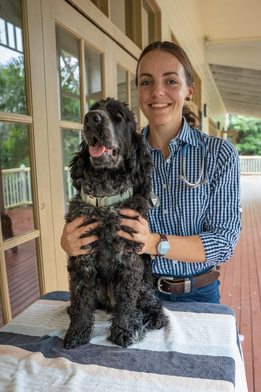 Highlands Mobile Vet