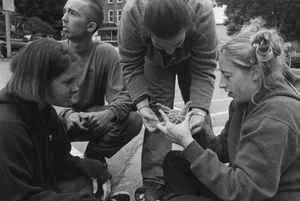 Harmony Rats — Robert George Photography