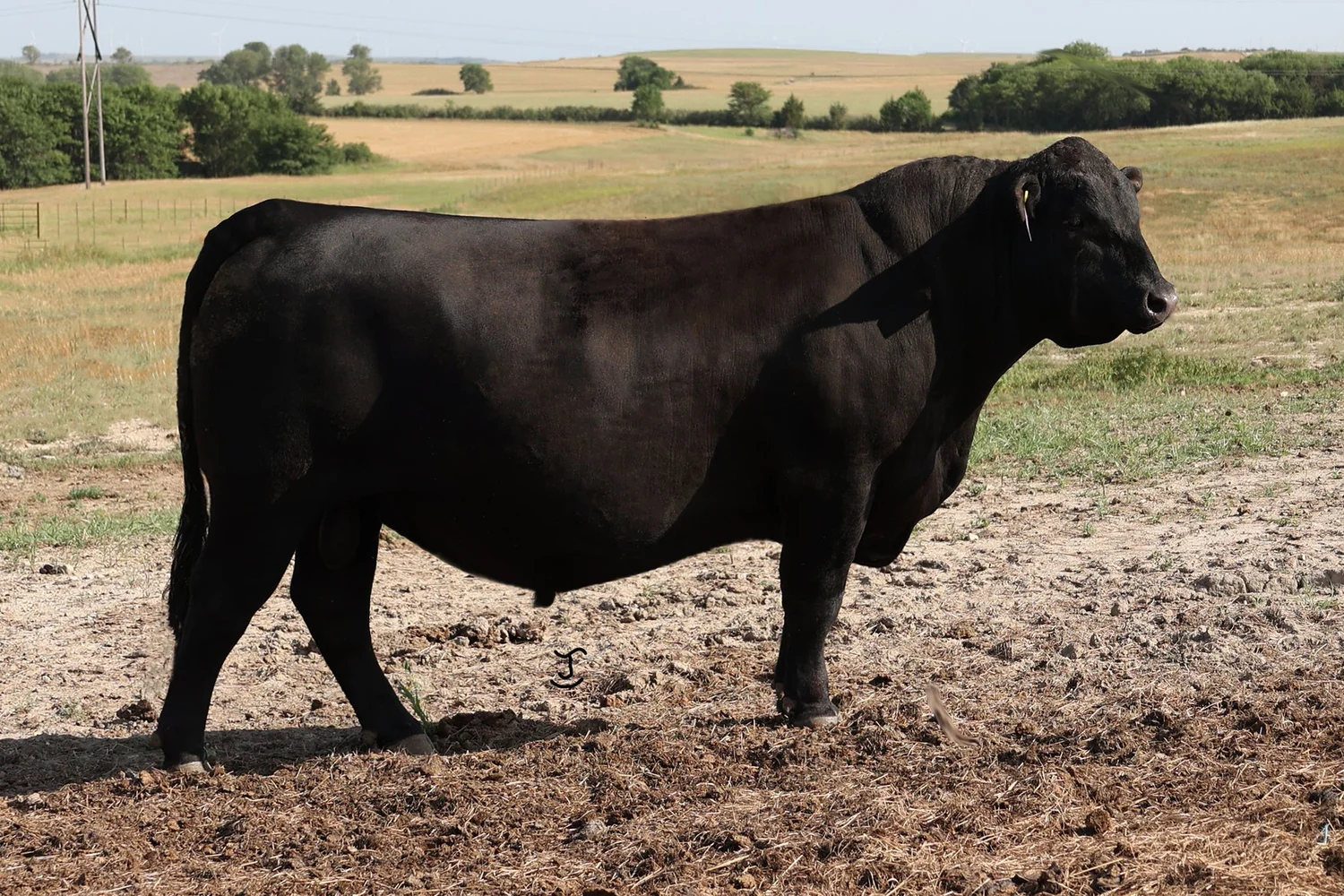 Williams HT Promogen 700-280 — The Judge Source LLC