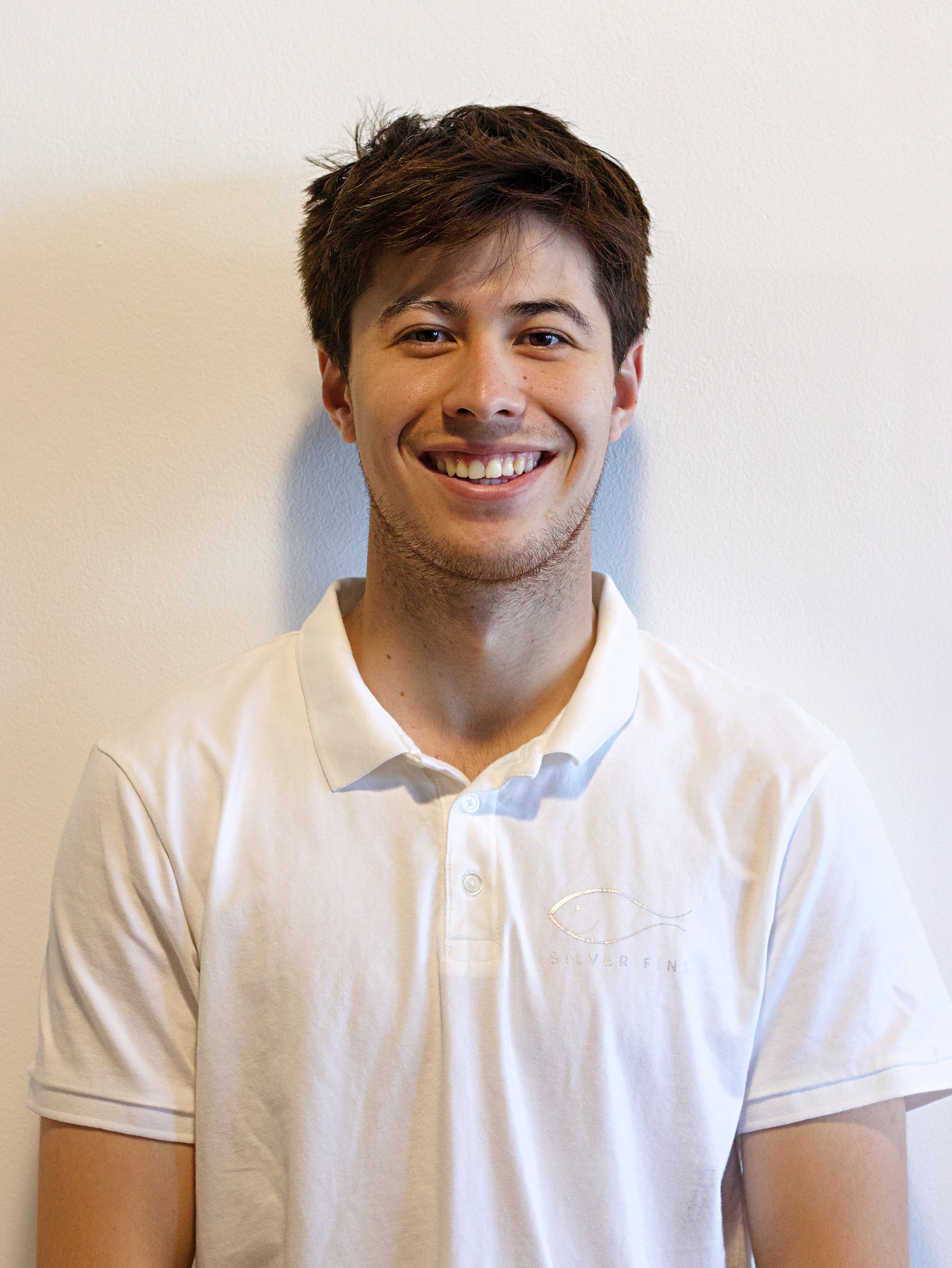 Silver Fins — Bumps To Babes