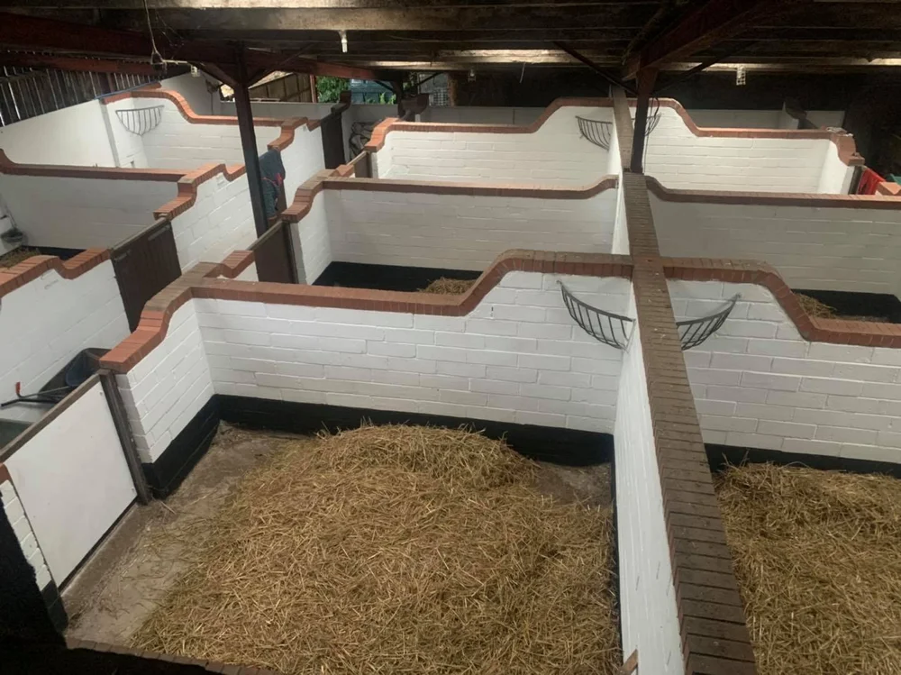 Gallery — Happy Horse Retirement Home