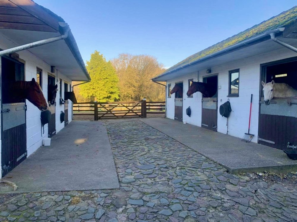 Gallery — Happy Horse Retirement Home